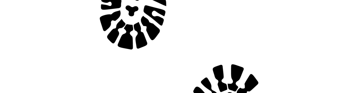 Formatief handelen #2 | Maak kleine stappen - Mbomediawijs.nl